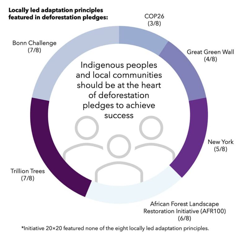 Locally led adaptation is key to ending deforestation – INTERNATIONAL ...