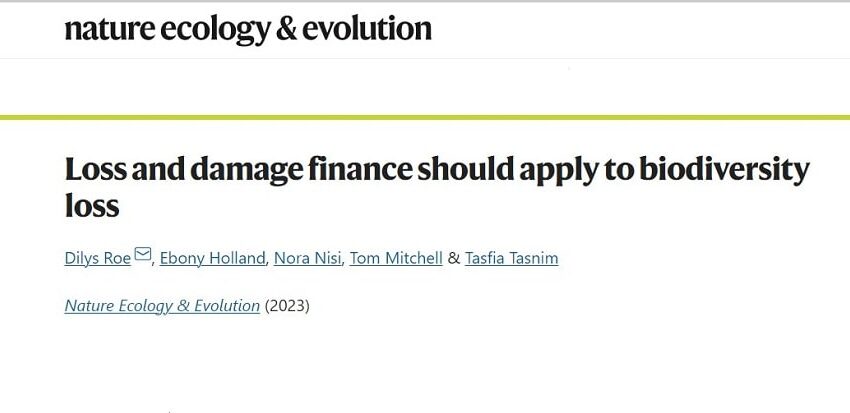 Loss and damage finance should apply to biodiversity loss ...